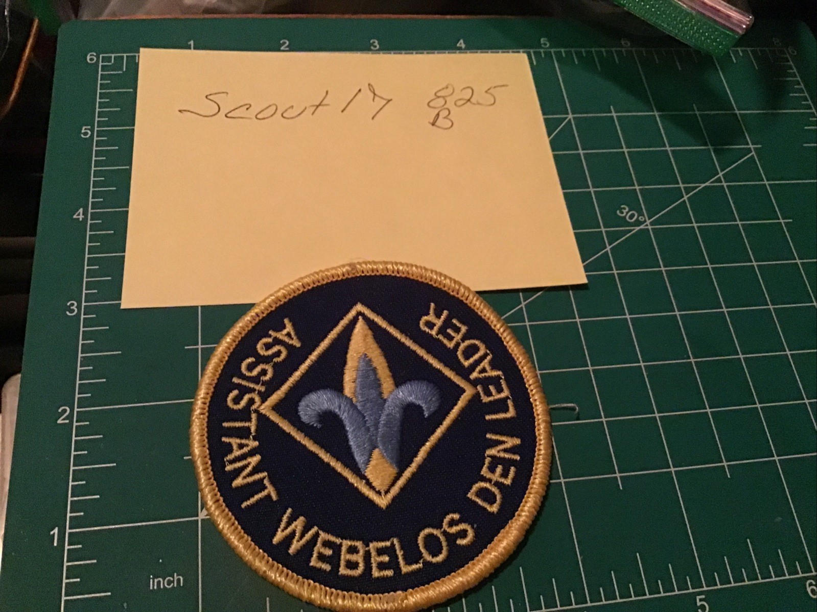 BOY SCOUTS OF AMERICA CUB SCOUT WEBELOS Assistant DEN LEADER Shoulder ...
