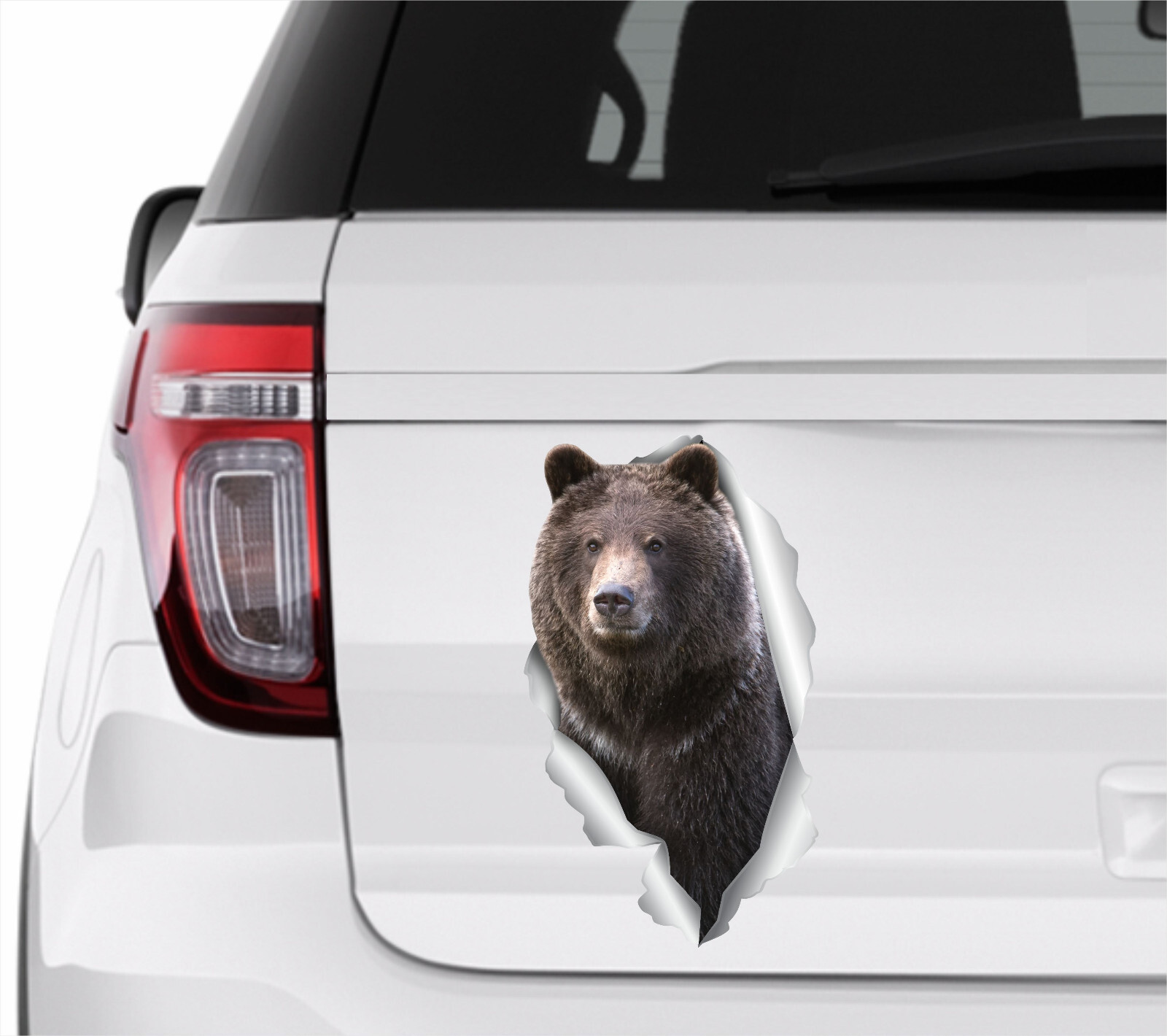 Grizzly sticker Grizzly decal Car sticker Bear sticker Car decal Vinyl ...