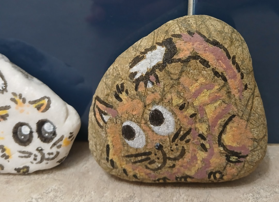 Pet Rocks Hand Painted Rock Art Gag Gift Cats | eBay