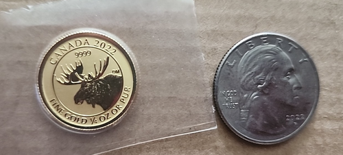 2022 1/4 oz Canadian Gold Moose Reverse Proof Coin | eBay