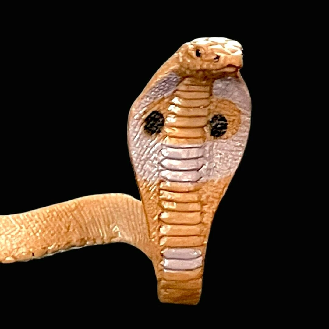 Indian Cobra Snake Images