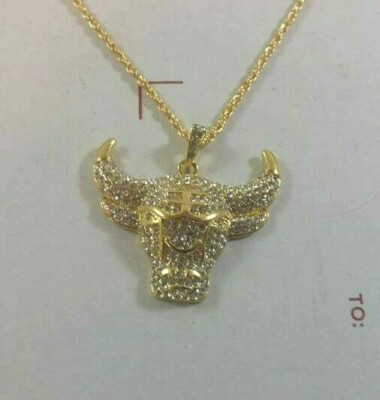 Gold Chicago Bulls Necklace Basketball Michael Jordan NBA Pendant Chain ...