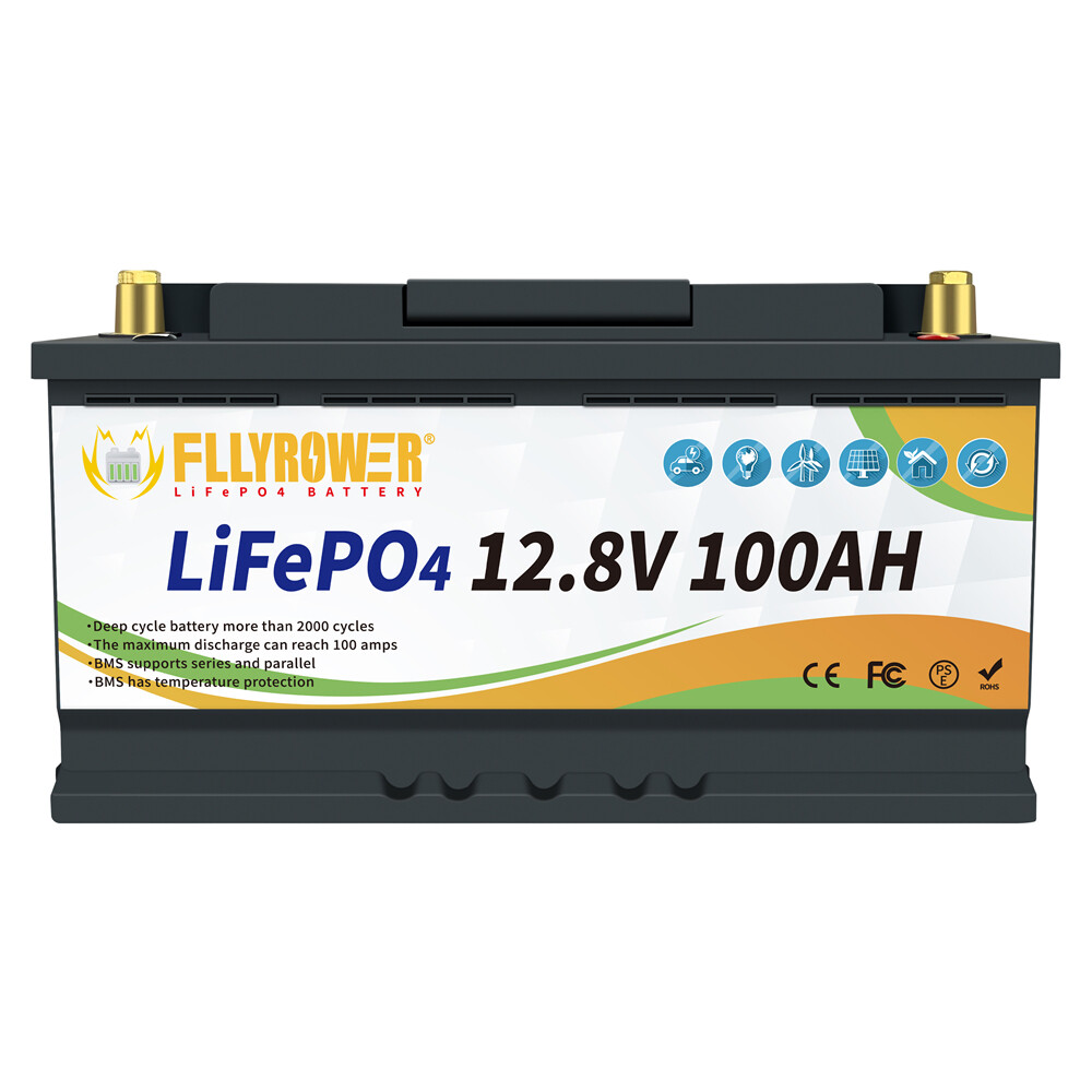 FLYPOWER Lithium batterie 12V 100AH LiFePO4 Akku BMS für RV Wohnmobil ...