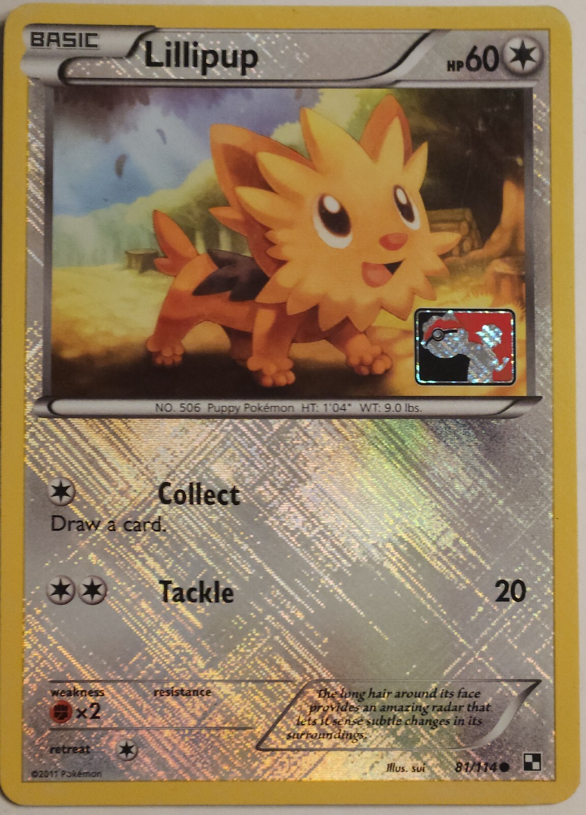 Pokemon Card Lillipup 81/114 League Promo Black & White Rev Holo | eBay UK
