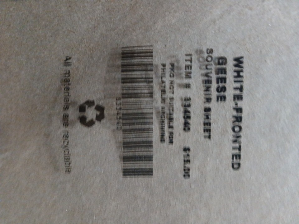 2011 Federal Migratory Bird Stamp #RW78 White-Fronted Geese MNH | eBay