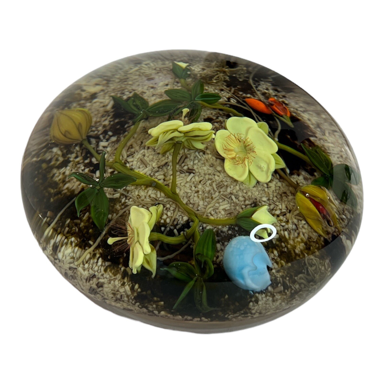 Vintage Paul Joseph Stankard Botanical Handblown Glass Paperweight A193 ...