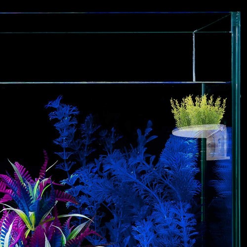 2Pack Aquarium Shelf,Transparent Acrylic Ledge Plants Holder for ...