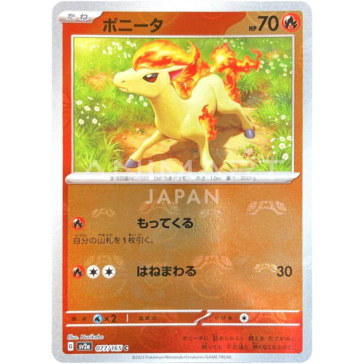 Ponyta Card