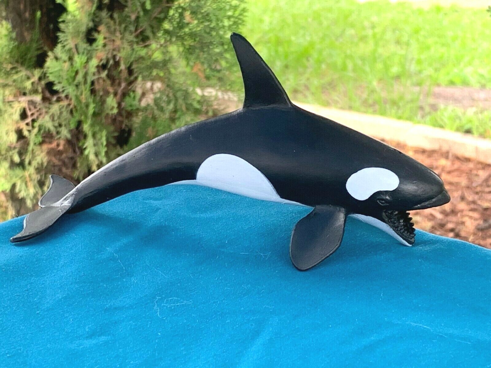 Beautifully Detailed Realistic Orca Killer Whale Shamu 6.25" PVC Figure ...