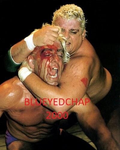 DUSTY RHODES VS RIC FLAIR WRESTLER 8 X 10 WRESTLING PHOTO WWF NWA WCW ...