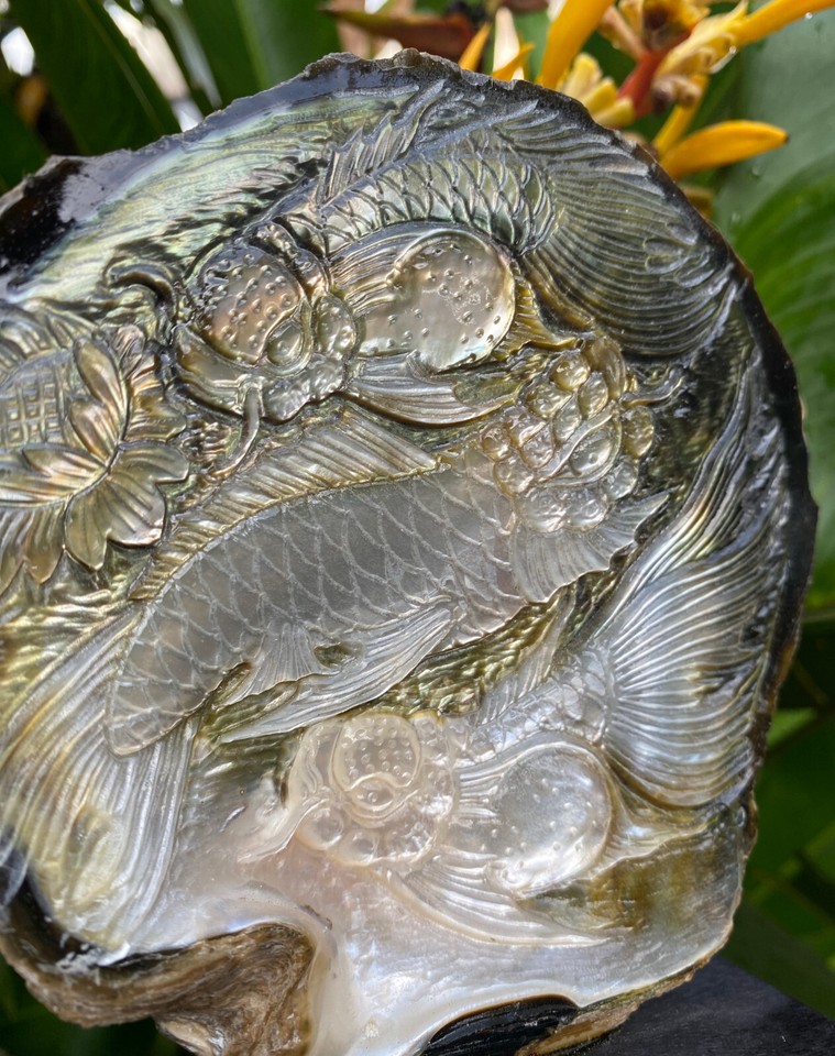 Beautiful Carved Seashell stunning Mother of pearl carved Shell incl ...