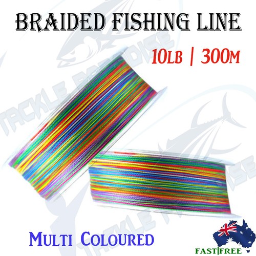 300m 10lb Braid Fishing Line Spectra Fluorocarbon Leader Lures Jigging ...