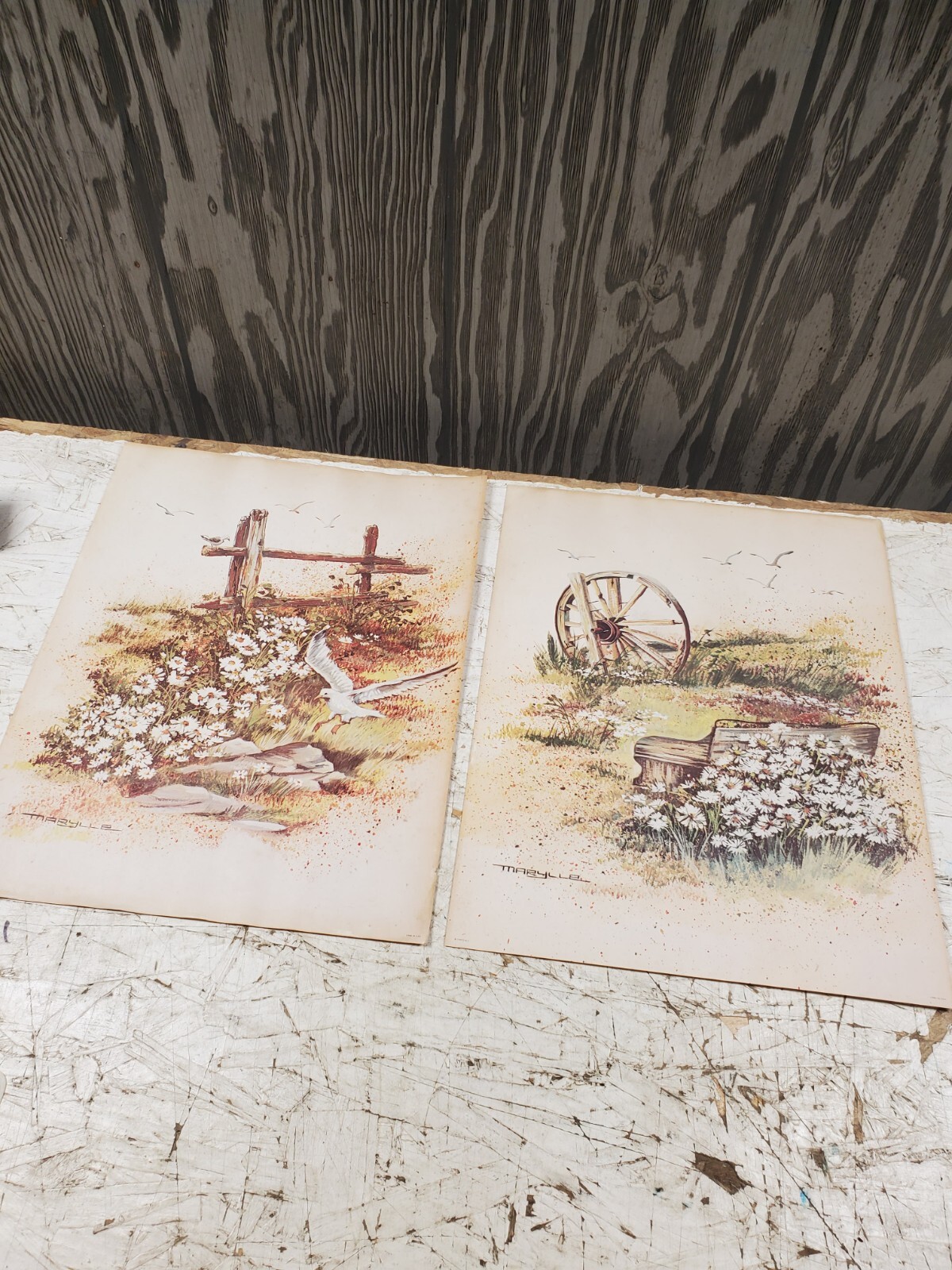 Pair Vintage Marylle Seagull Flowers Prints 11x14 Unframed (Tube4) | eBay