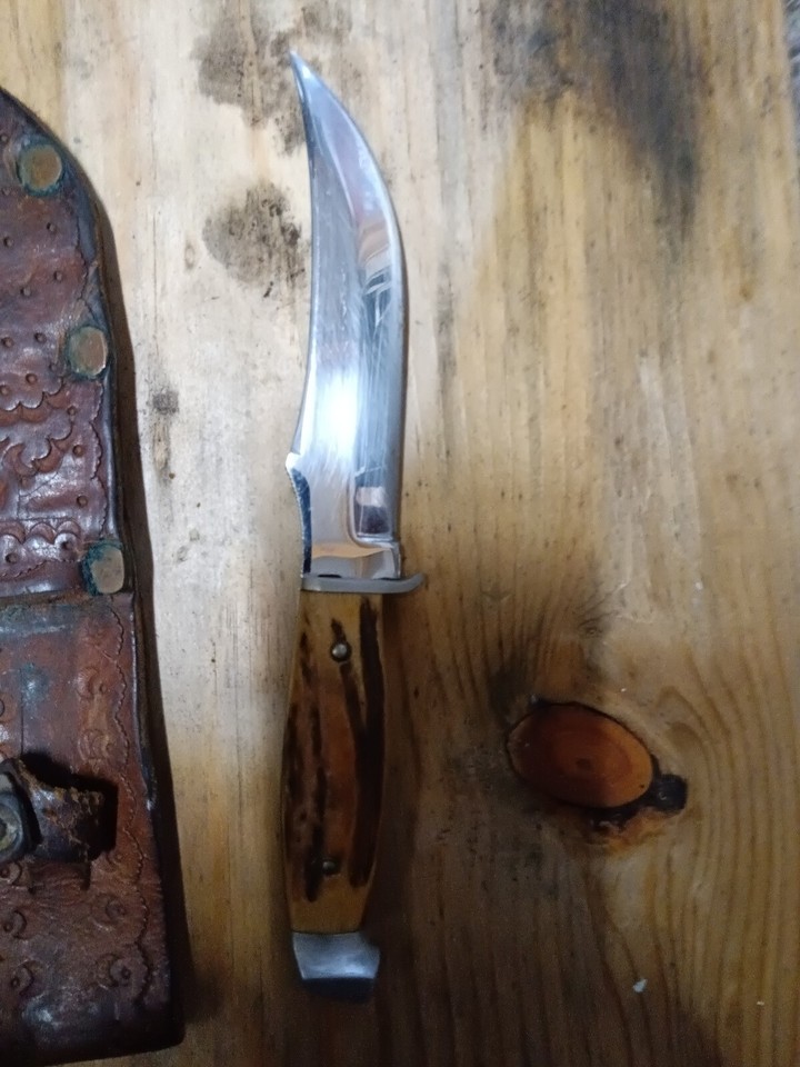 1940-1964 CASE STAG PIG STICKER Vintage Knife & Sheath | eBay