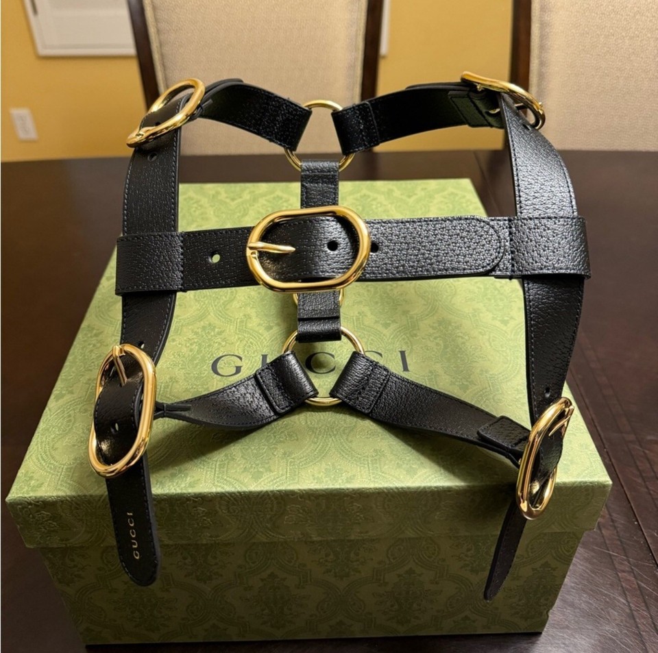 New Authentic Gucci GG Logo Leather Dog Harness Size S | eBay