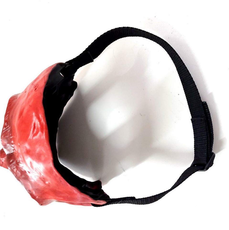Dead Head Props HALLOWEEN HORROR Mask - Realistic Resin Red Skull Mask ...