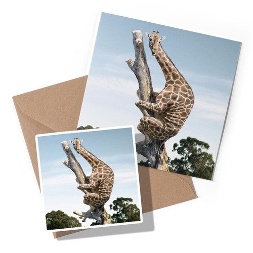 1 x Greeting Card & Sticker Set - Silly Giraffe Wild Animal #8867 | eBay