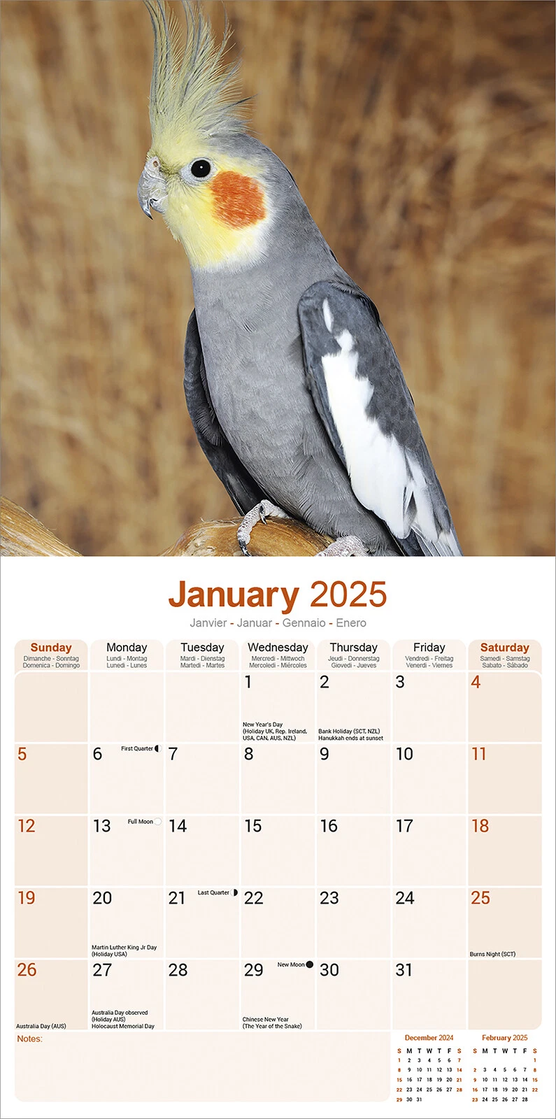 Cockatiels Calendar 2025 Gift Bird Wall Calendar 15% OFF MULTI ORDERS ...