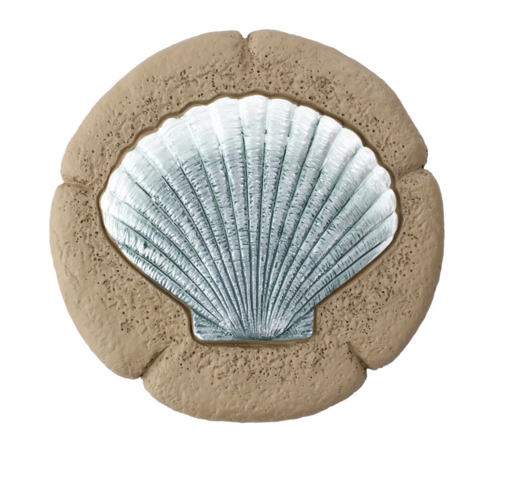 Clam Shell Stepping Stones Amazon.com: GIANT 22" CLAM SHELL Tridacna