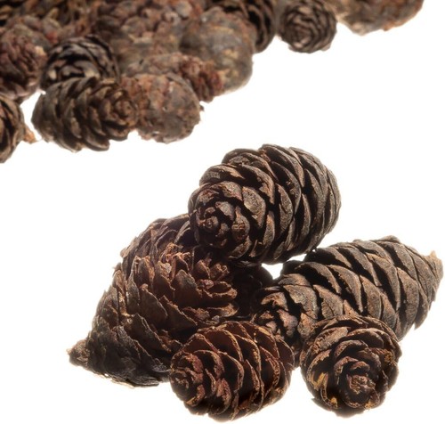 Pine Cones 400 Small Pine Cones 3/4" - 1 1/4" 24 oz Mini Black Spruce Pine Cones | eBay