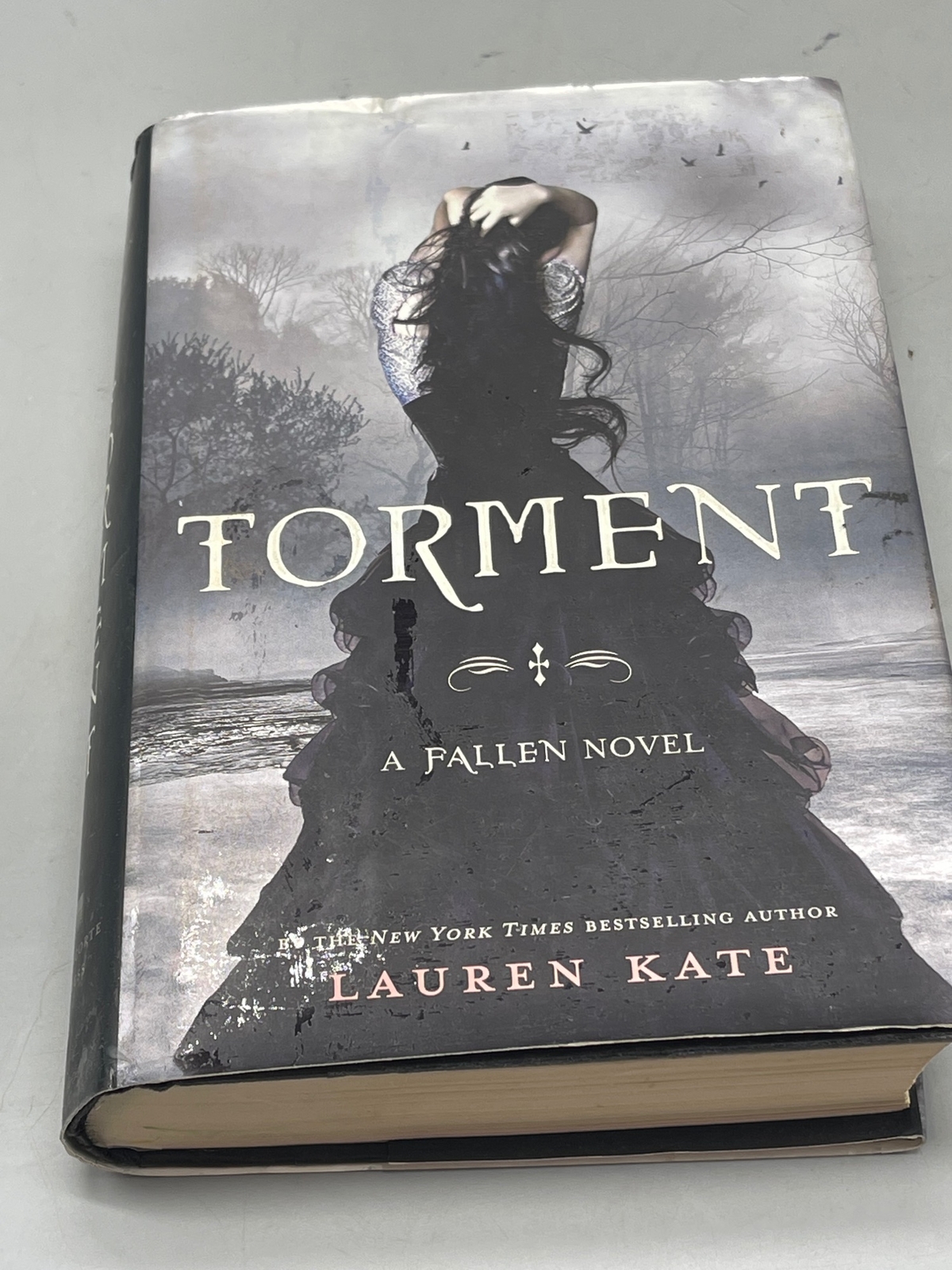 Torment Book Cover