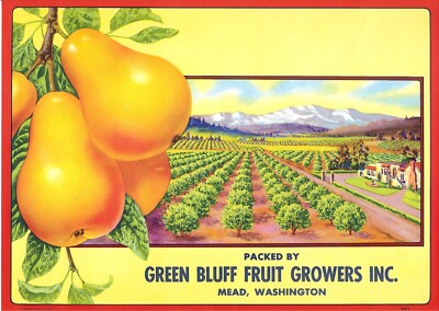 Green Bluff Fruit Brand Pear Label - Stock - Green Bluff Fruit Growers ...
