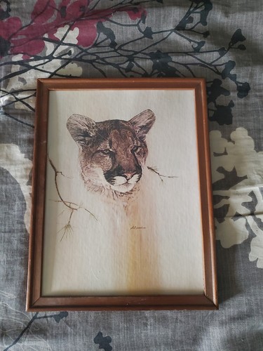 1974 Signed Phil Prentice Art Vintage Cougar/Mountain Lion Print Framed ...
