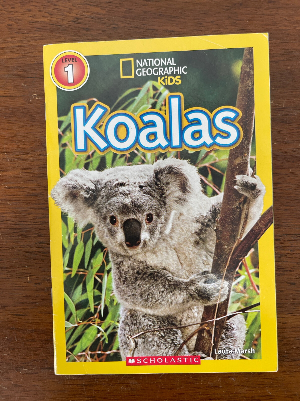 National Geographic Kids Koalas by Laura Marsh Scholastic Paperback ...