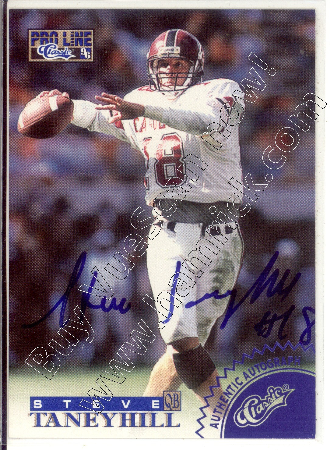 steve taneyhill rookie draft auto autograph carolina gamecocks college ...