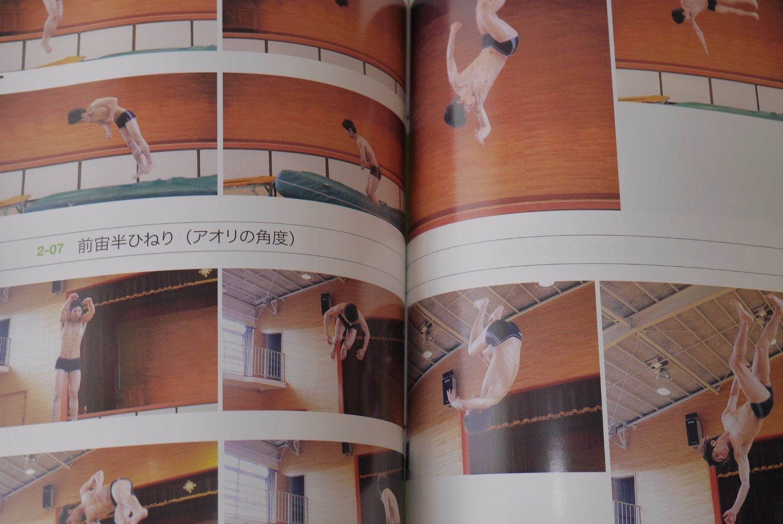 Real Action Pose Collection - Japanese Pose Book (Fighting,Stunt ...