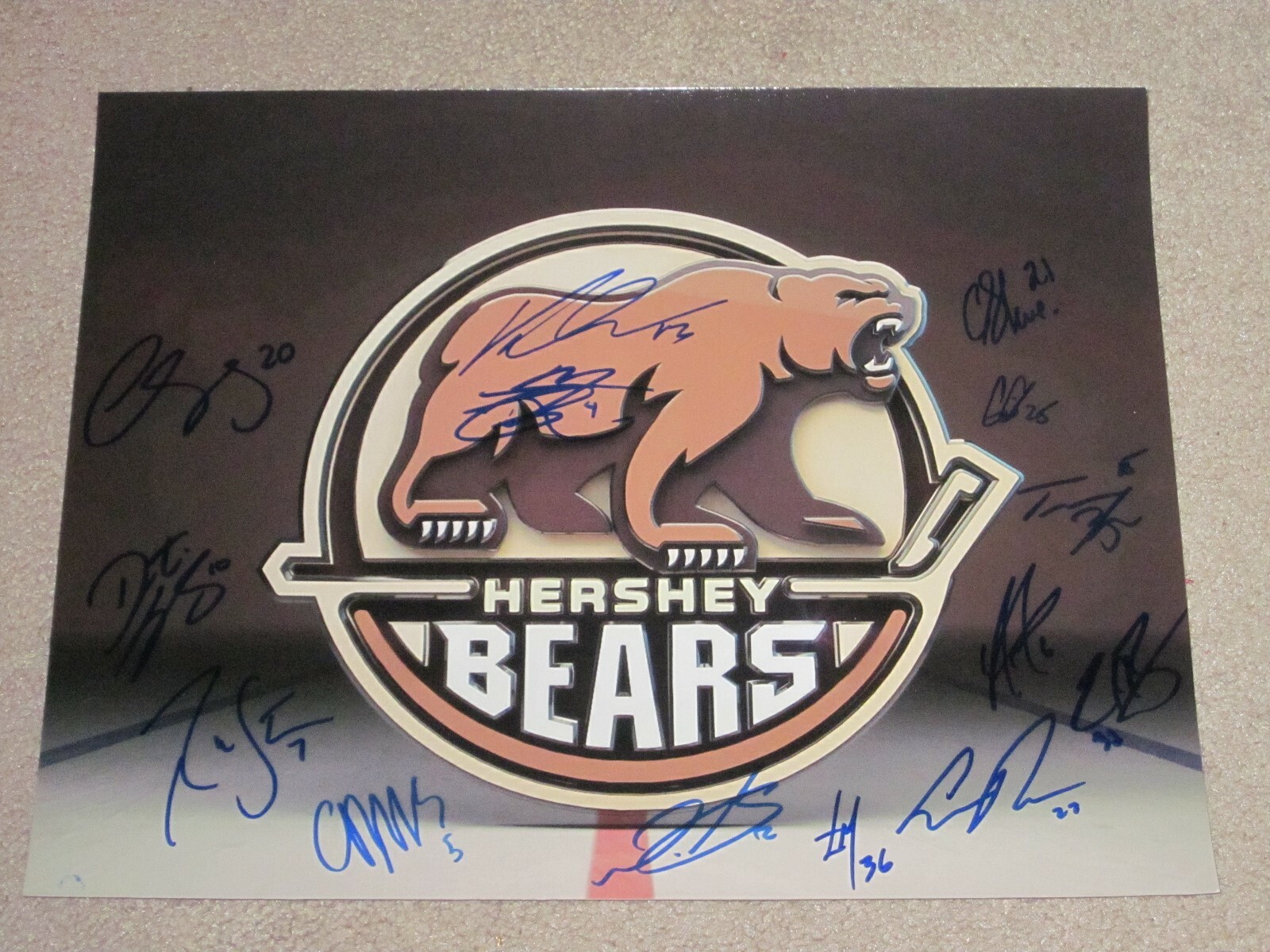 2015-16 HERSHEY BEARS TEAM SIGNED AUTOGRAPHED 11X14 PHOTO-VANACEK-BOWEY ...