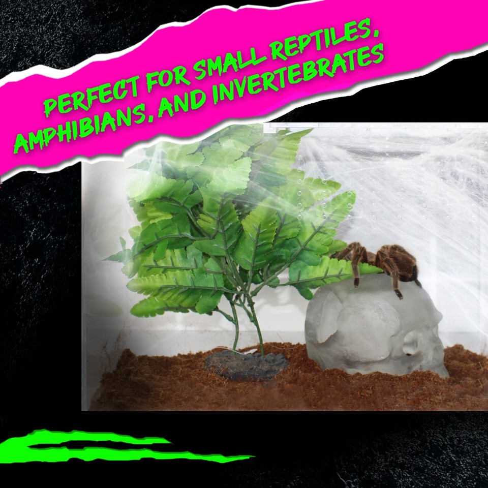 Skull Reptile Hide for Small Reptiles and Tarantulas and Spooky Decor ...