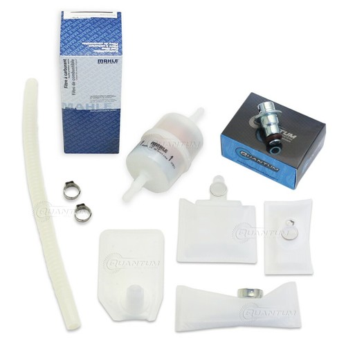 Quantum Fuel Pump Repair Kit 304 w/ fuel Filter + Pressure Regulator | eBay