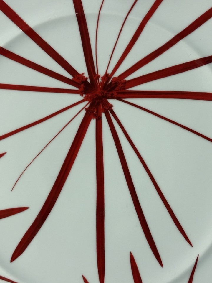 Mikasa PURE RED 15" SL134 Round Platter Chop Plate MINT | eBay