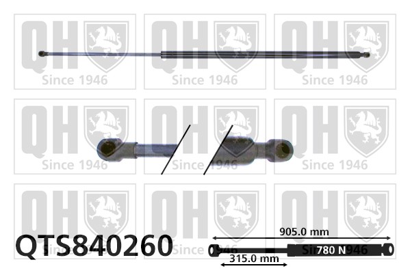 Boot Gas Strut fits RENAULT TRAFIC Mk2 1.9D 2001 on Spring Lift ...