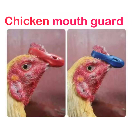 8 pcs Chicken Mouth Guard Protection Injury Safe Rooster Mitt Flexible ...