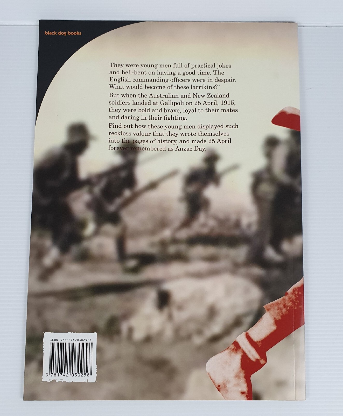 GALLIPOLI RECKLESS VALOUR NICOLAS BRASCH PAPERBACK Black Dog Books OUR ...
