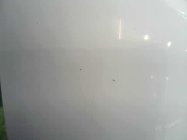 MAZDA Titan 2003 Right Front Side Body Panel W62052111F [Used ...