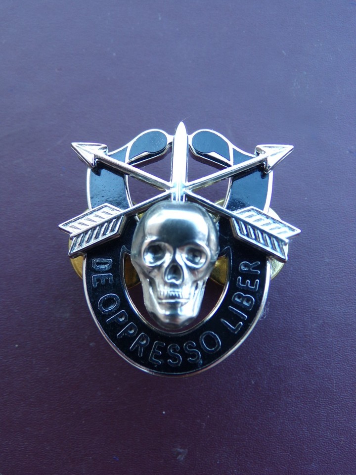 Special Forces Skull Crest DI Pin US Army SOG Airborne Military ODA ...