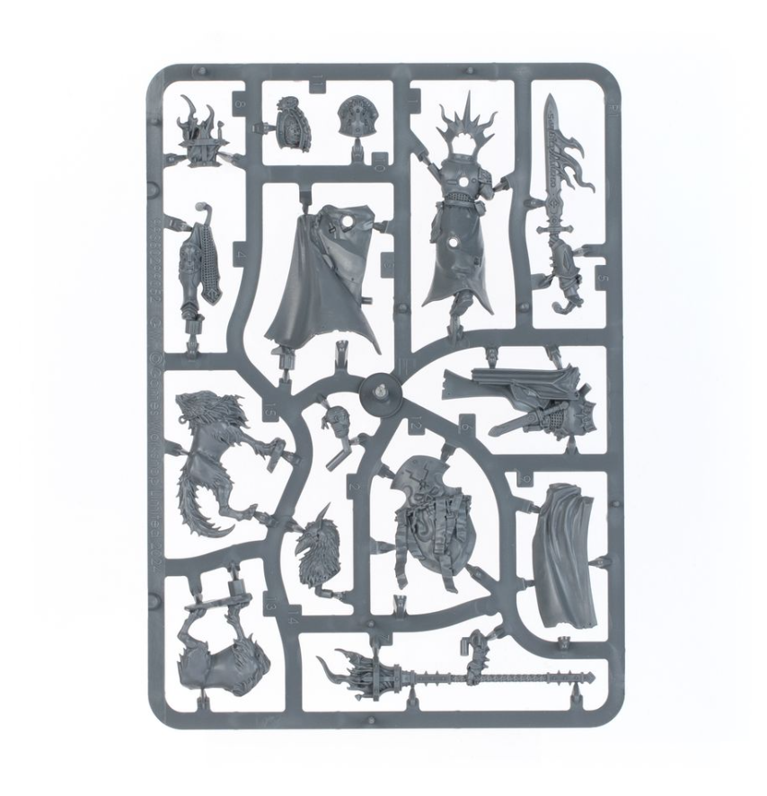 Lord-Veritant with Gryph-Crow - Stormcast Eternals - Age of Sigmar ...