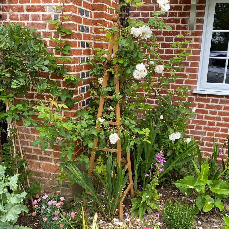 Woodside Wooden Garden Obelisk Pyramid Plant Support Trellis Climbing ...