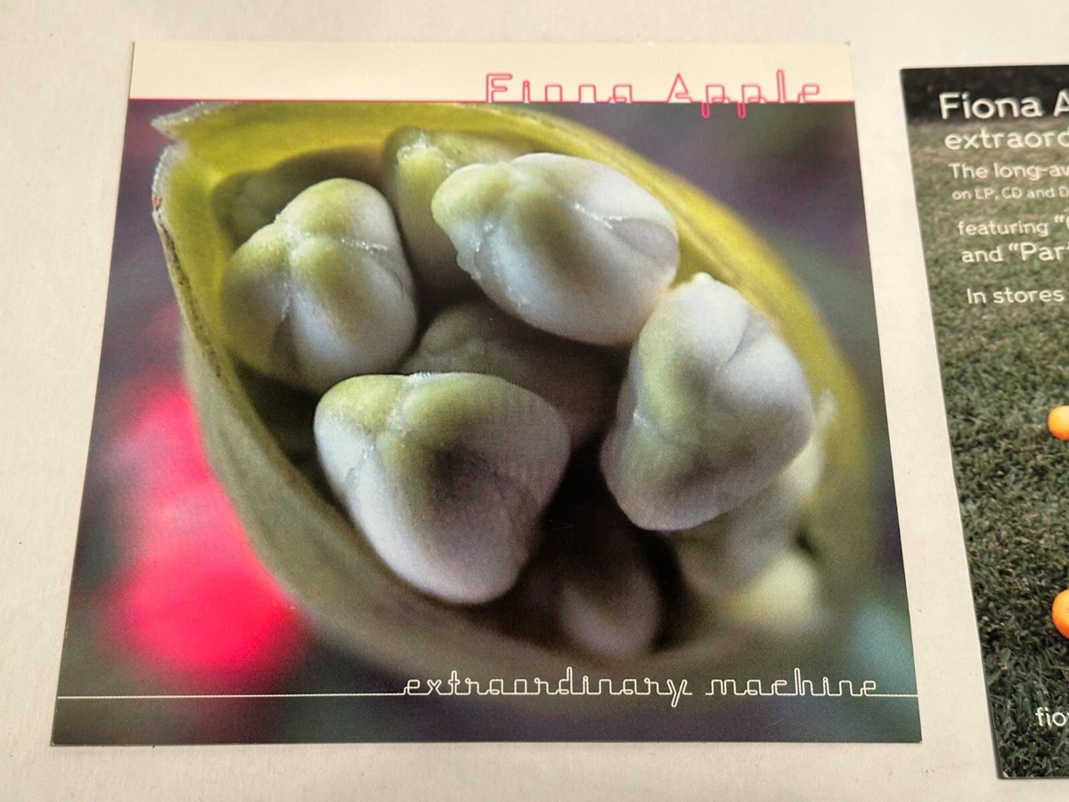 Extraordinary Machine Album