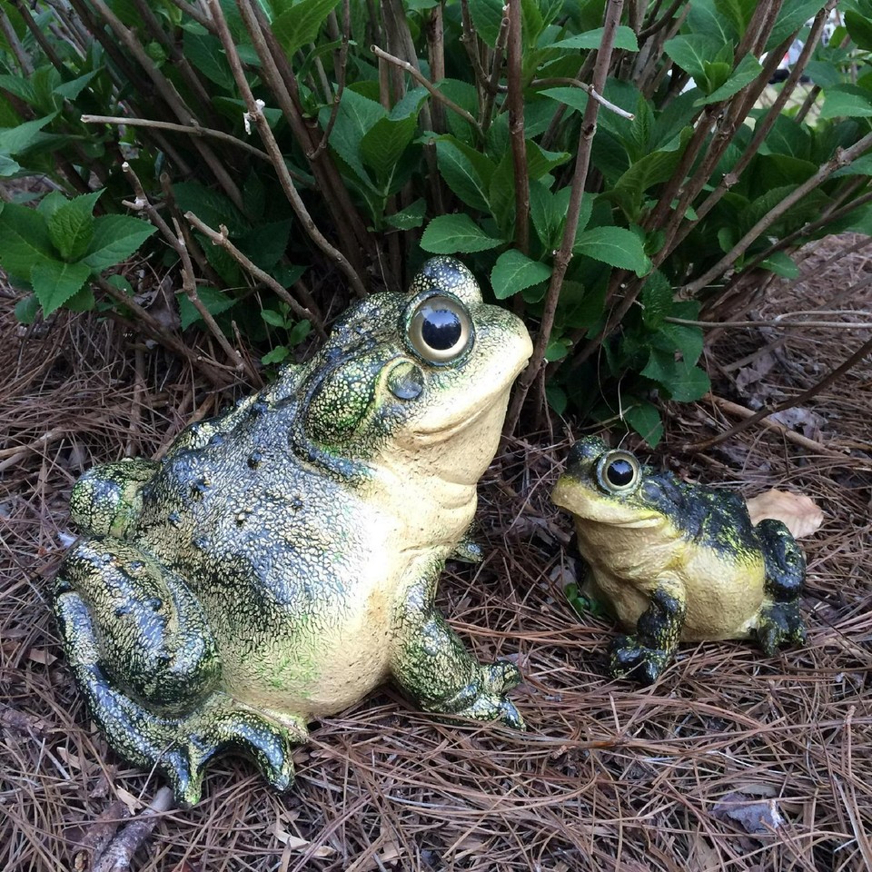 Large Realistic Bullfrog Toad Home Garden Nature Statue Sculpture Resin ...