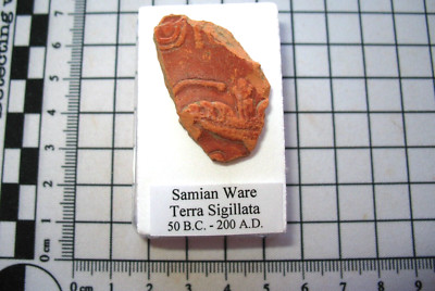 Roman Samian Ware Terra sigillata Gaul pottery shard nice decoration ...