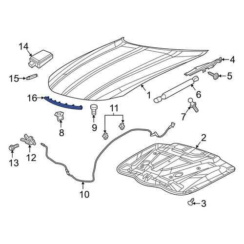 For Dodge Charger 2006-2023 Dodge 68040220AC Front Hood Seal | eBay