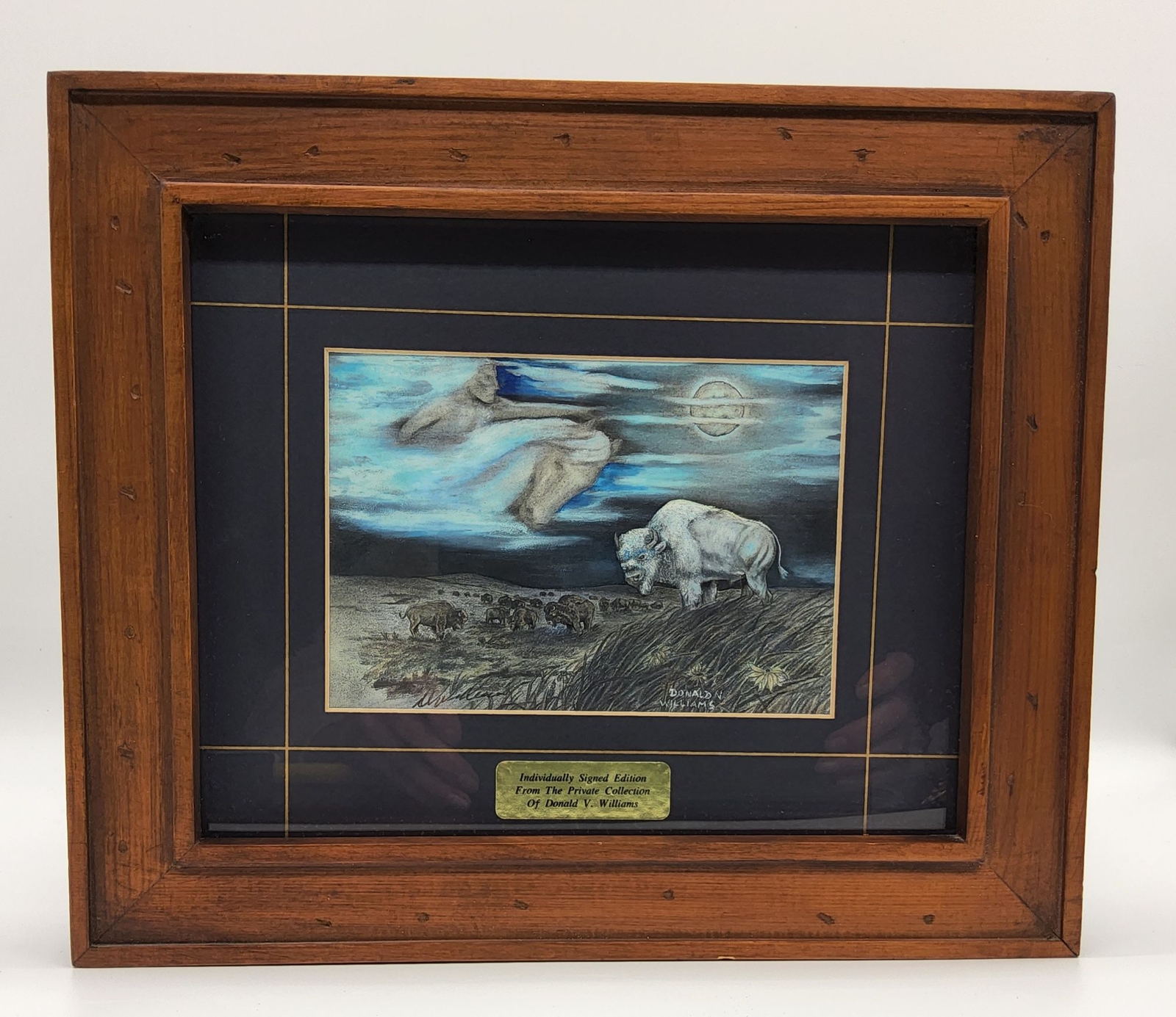 Vintage Donald V Williams White Buffalo Native American Horse Signed ...