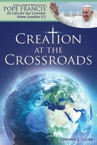 Creation at the Crossroads: A Small-Group Resource on Pope Francis ...