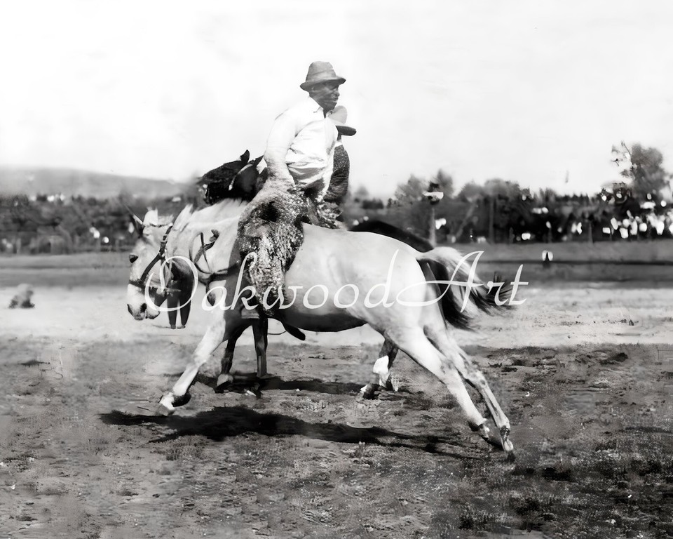 Rodeo Cowboy Riding Backwards on a Mule c1900s, Vintage Photo Reprint ...