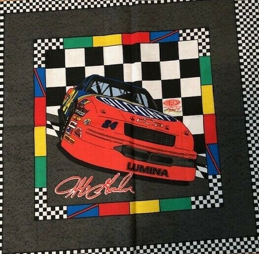 JEFF GORDON NASCAR RACING CAR COTTON FABRIC PANEL 17x44 = 2 16" pillows ...