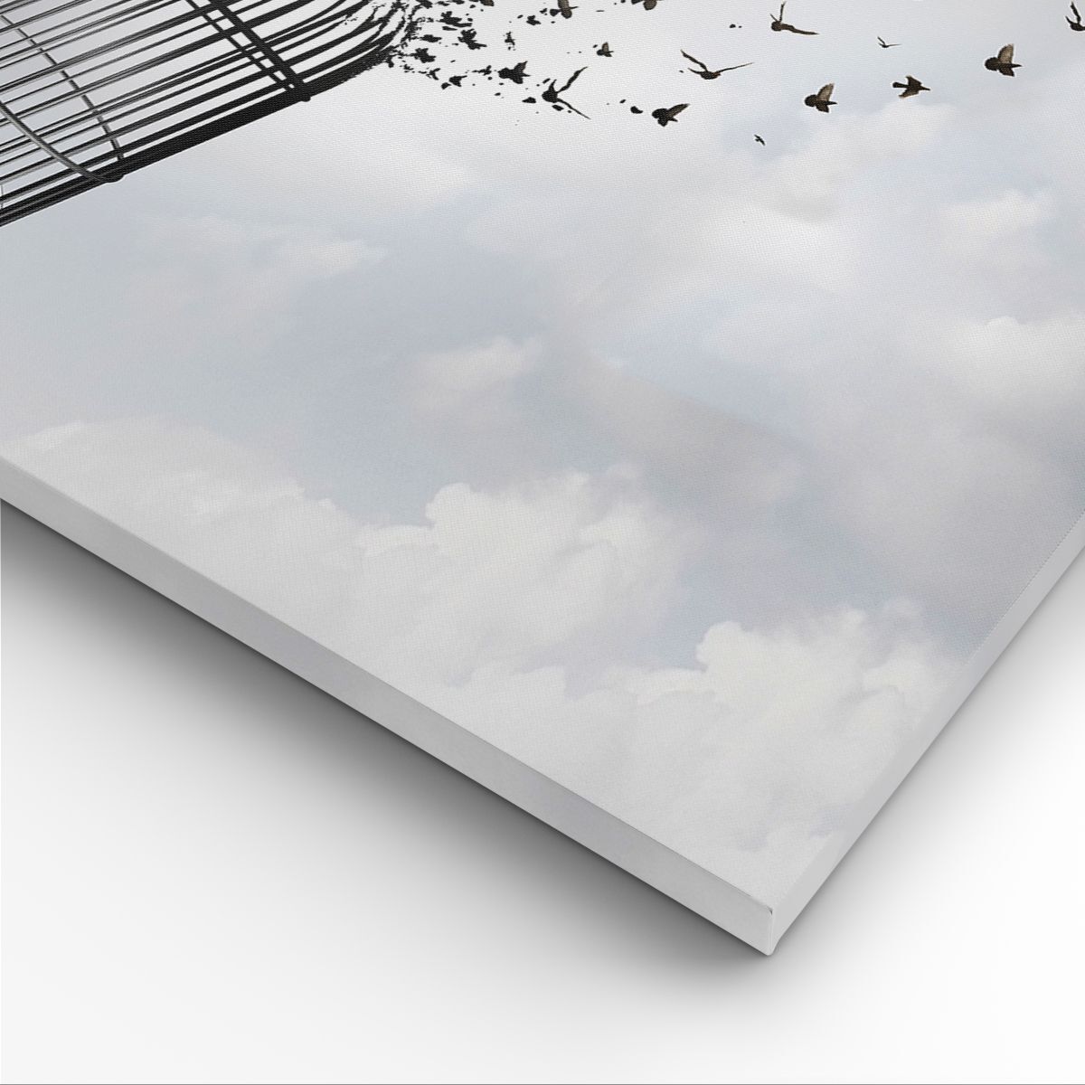 Impression sur Toile 160x85cm Tableaux Image Photo Libert Cage Oiseaux ...